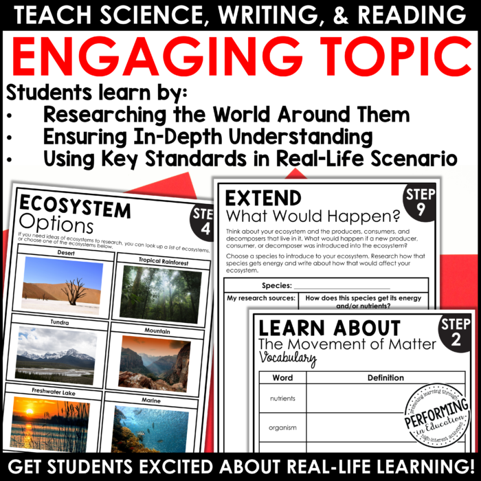 5th Grade PBL Science | Movement of Matter | Energy Flow in Ecosystems ...